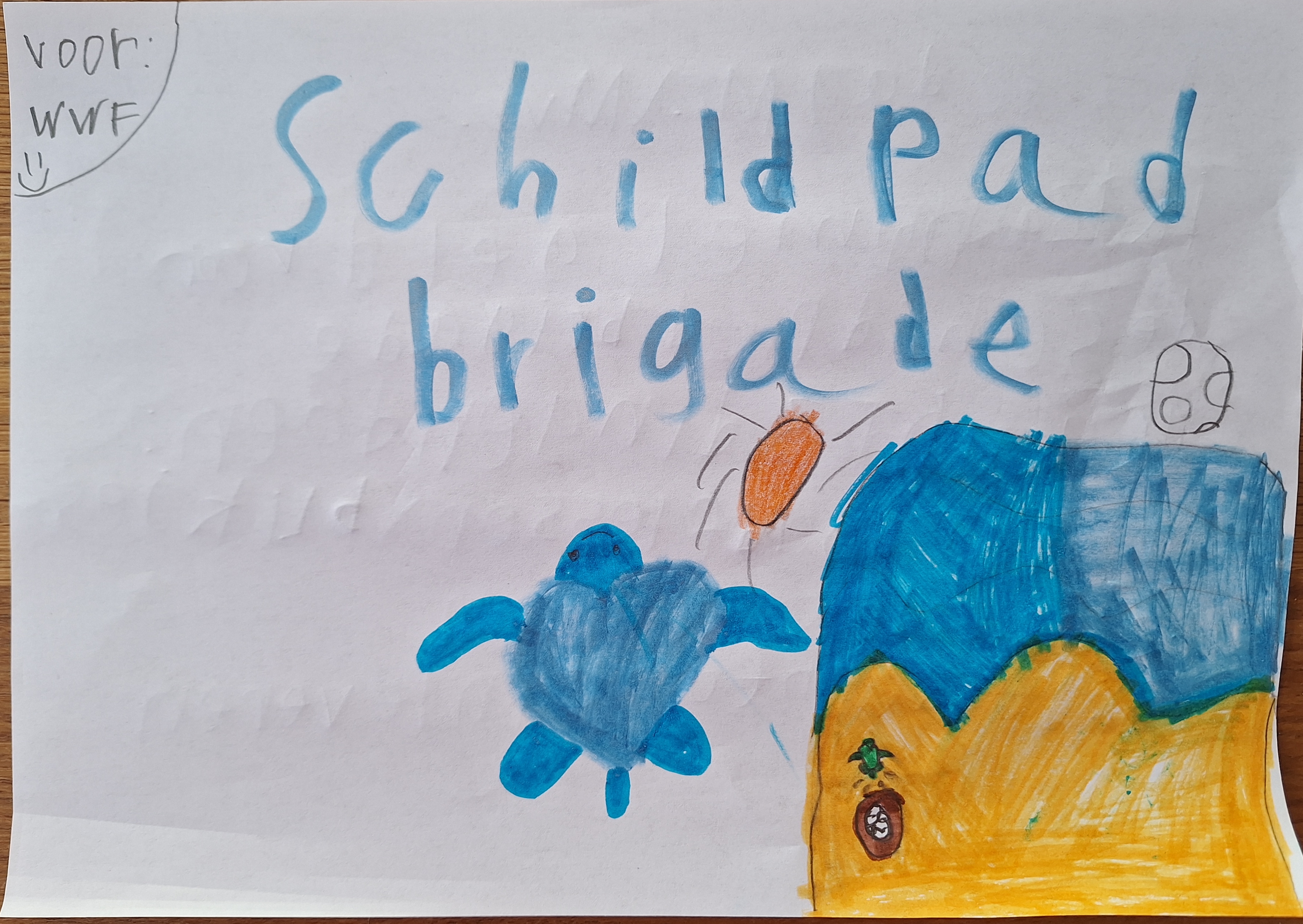 Red de schildpad