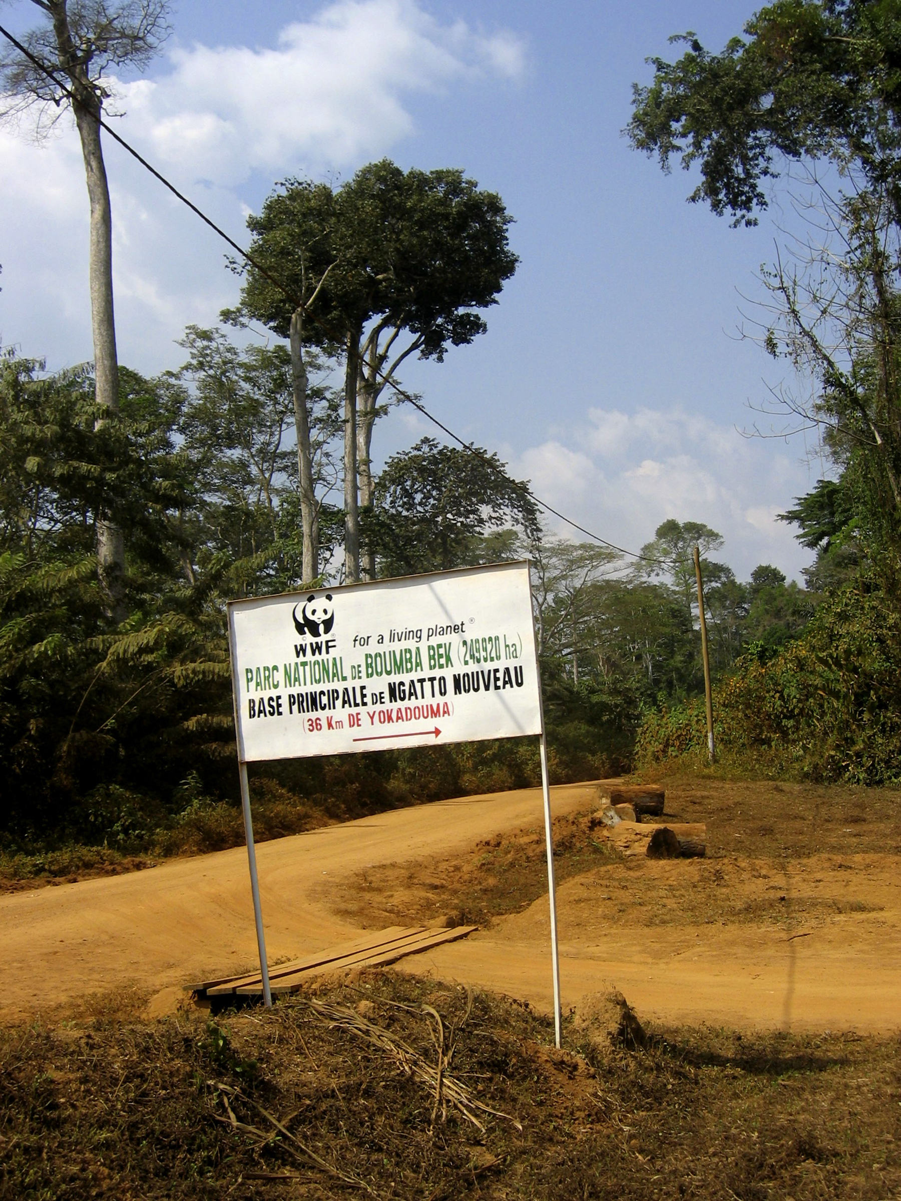 In de voetsporen van de Baka