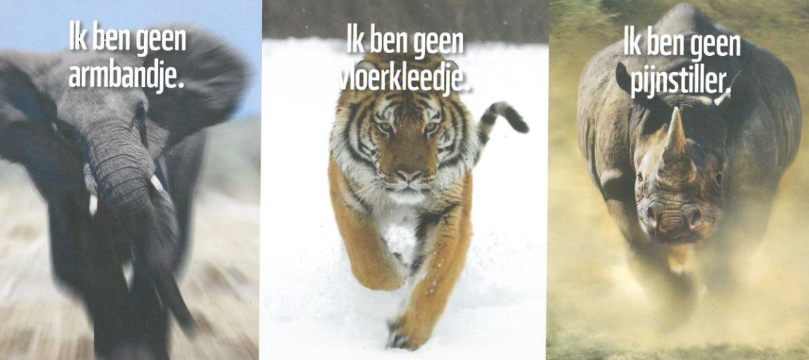 Historie WWF | De jaren 2010