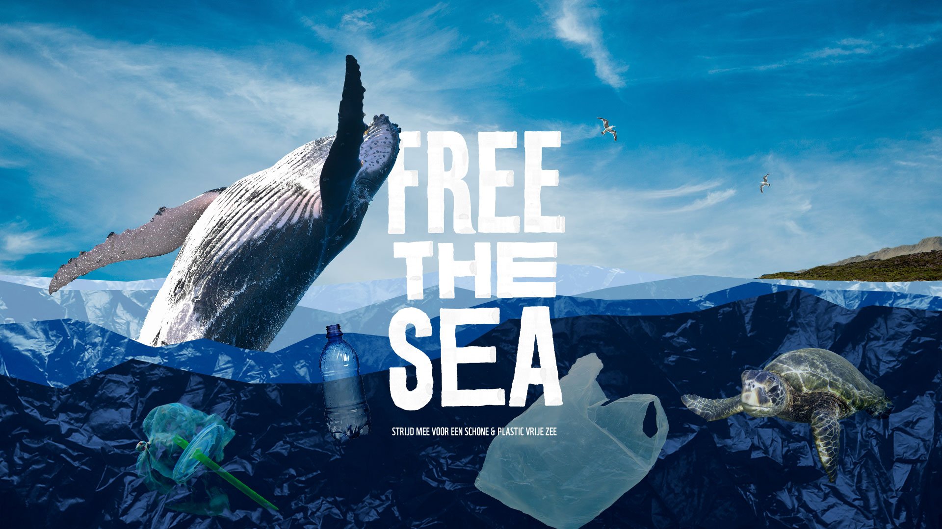 Terugblik: Free the Sea