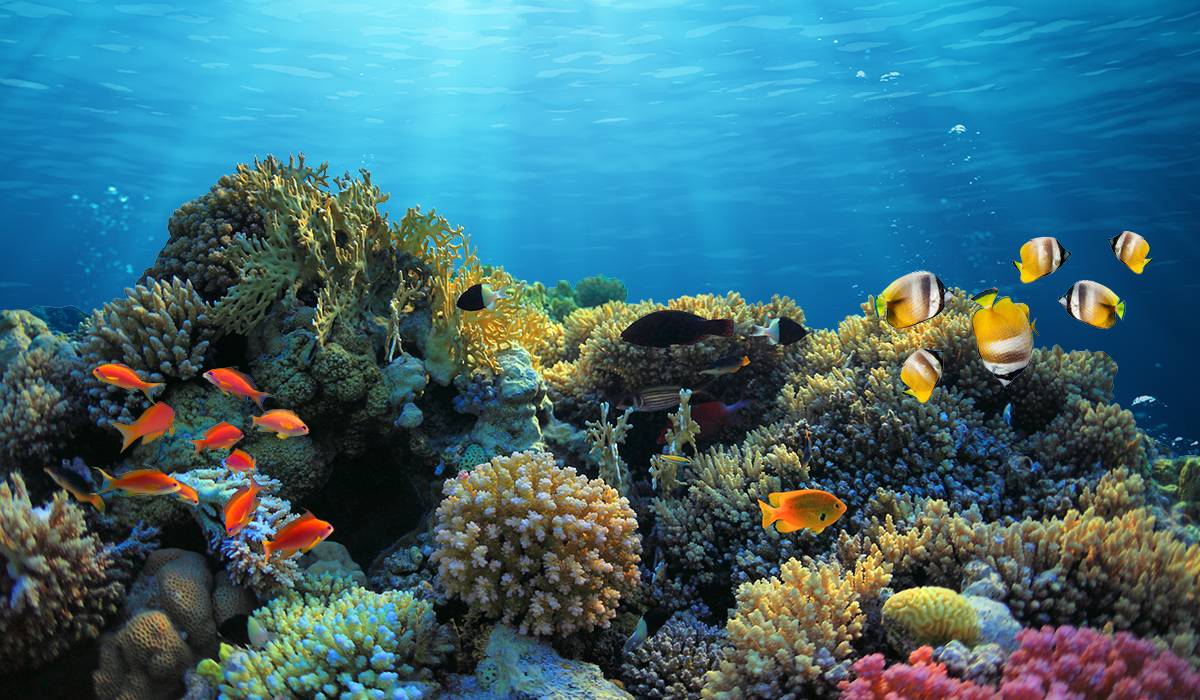 red de blauwe wereld