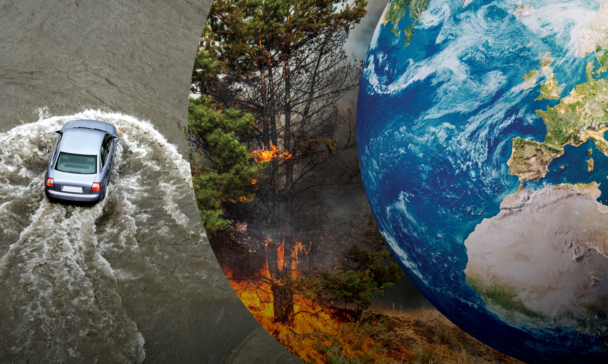 Living Planet Report 2024 | WWF | Nieuws