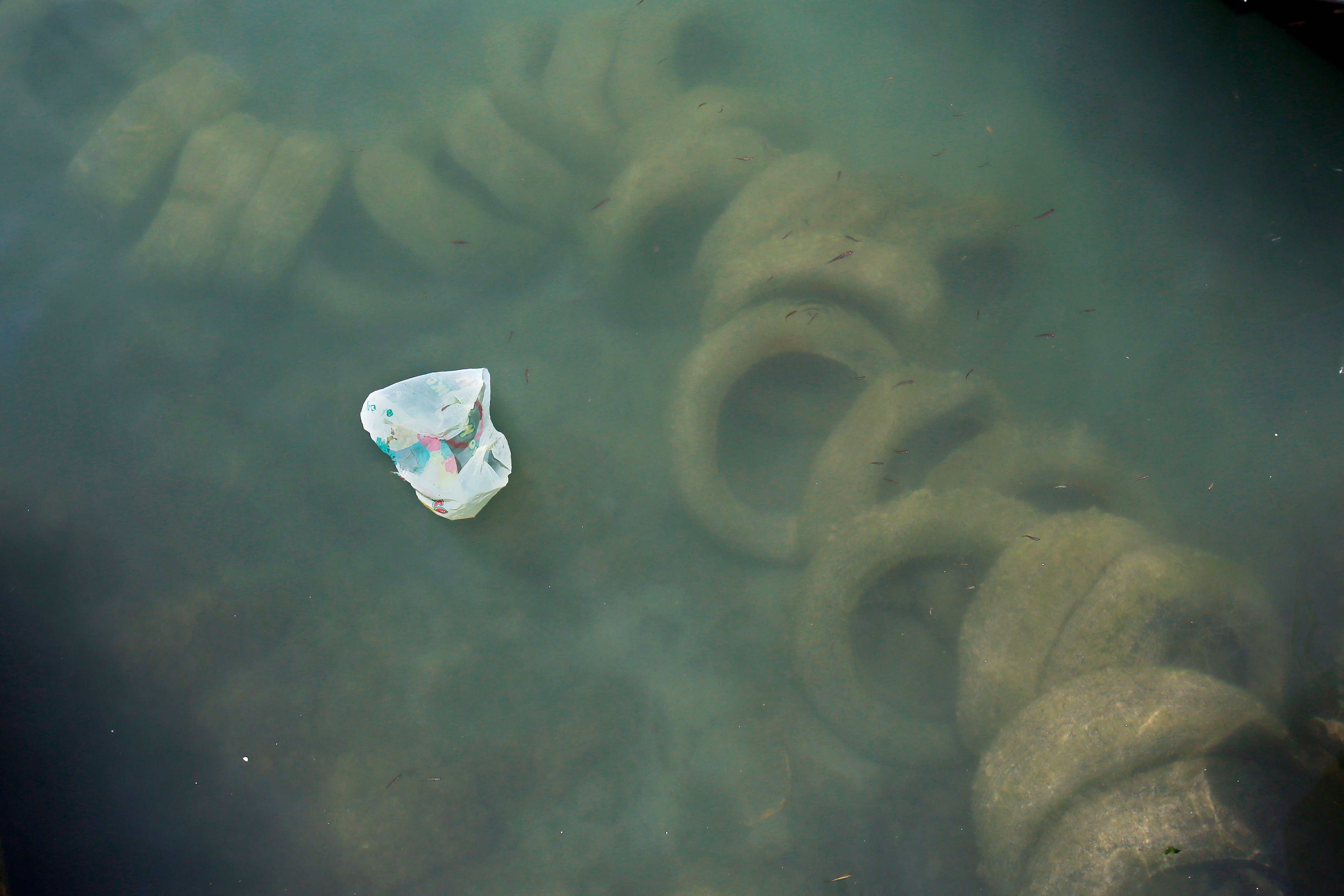 Oceaan vervuiling | WWF | o.a. veel plastic in zee