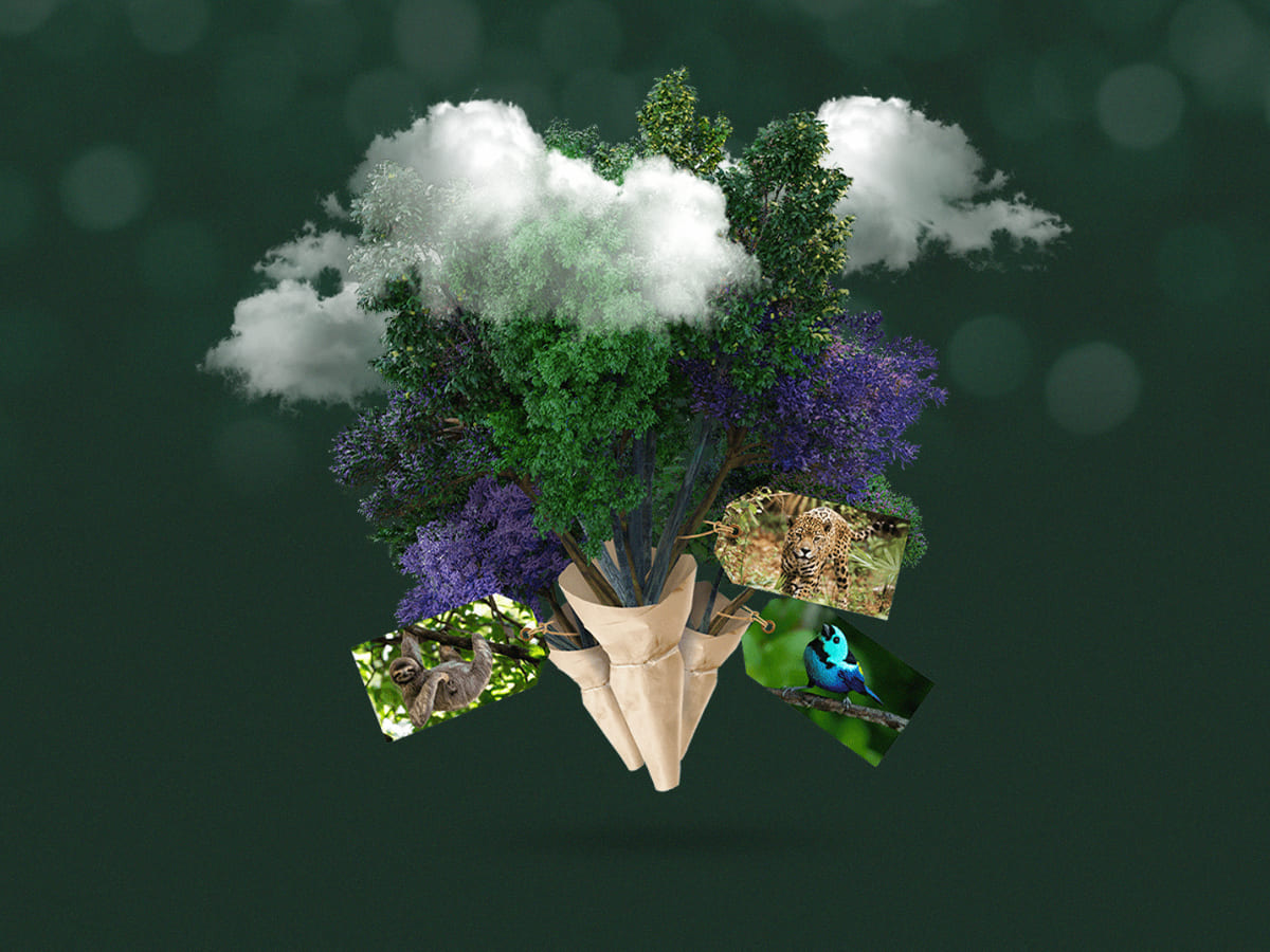 Duurzame kerstcadeaus | WWF