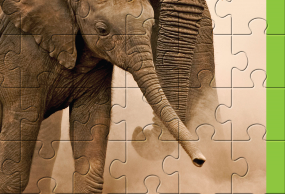 Puzzel 100 stukjes Olifant | WWF | Steun ons werk