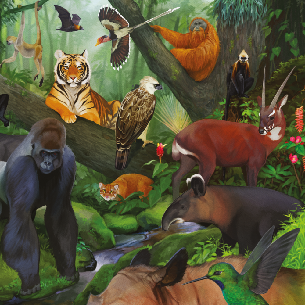 Puzzel 1000 stukjes Tropisch Regenwoud | WWF | Steun ons